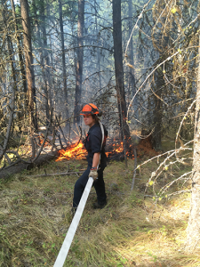 Strategic Fire Control – Strategic Fire Control